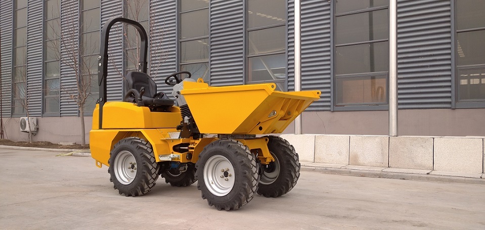 Mini site Dumper