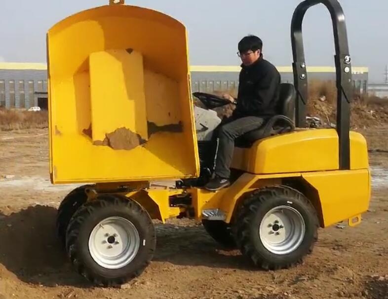 Mini site Dumper
